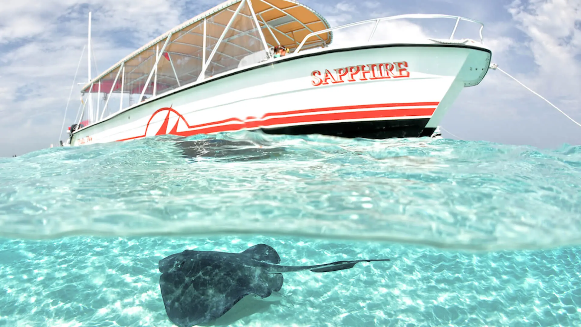 Rays and Reef Experience from Rum Point, Grand Cayman | RSS